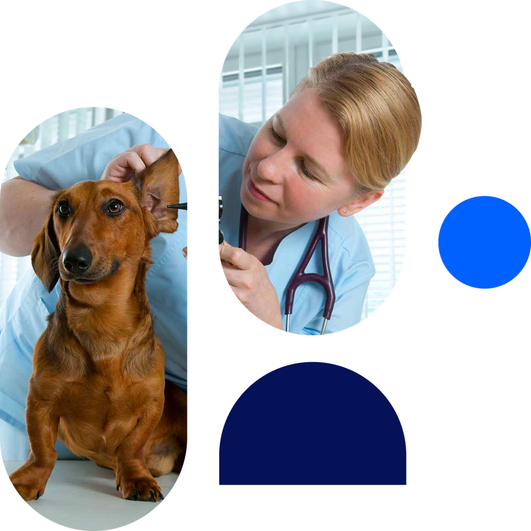 Staff rota & clocking-in software for veterinary practices · RotaCloud